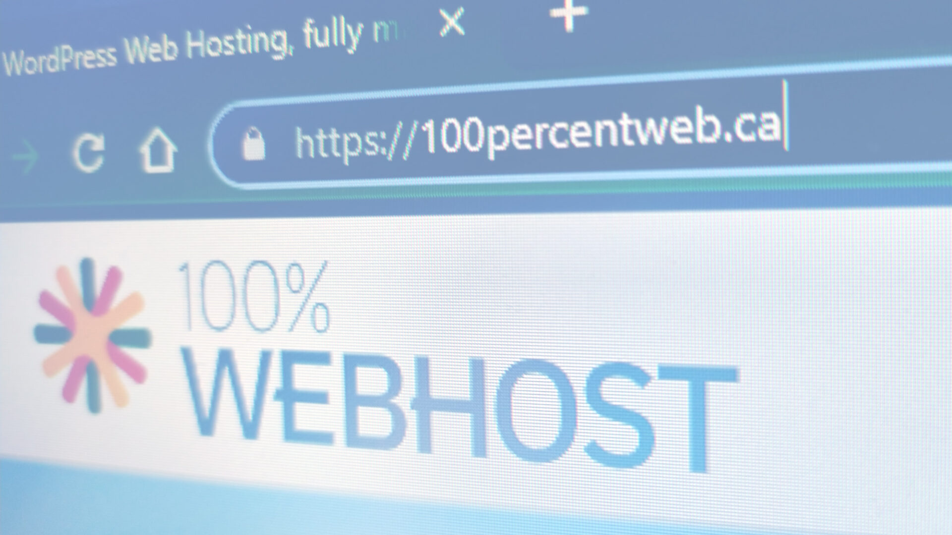 Understanding the Difference: Domains, URLs, and DNS